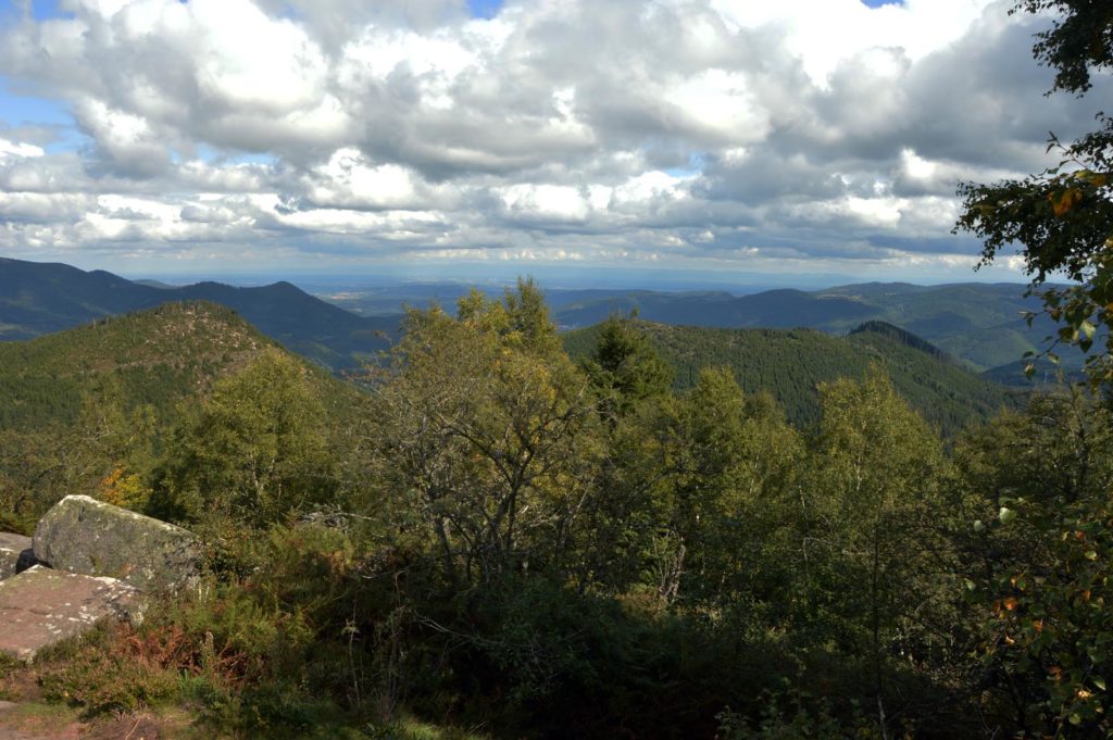 Le Donon - Alsarando