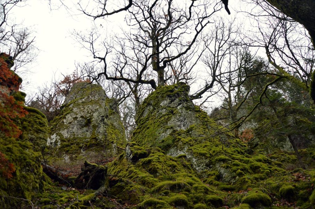 Week-end Nouvel An jour 2 : au Rosinel Felse - Alsarando
