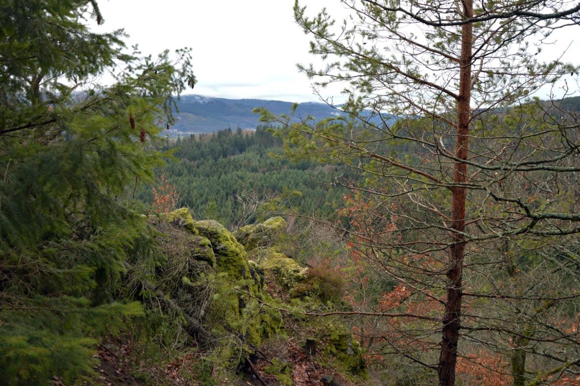 Week-end Nouvel An jour 2 : au Rosinel Felse - Alsarando