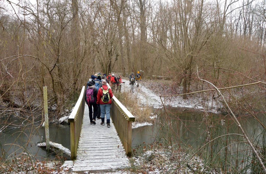 La Réserve Naturelle d'Offendorf - Alsarando