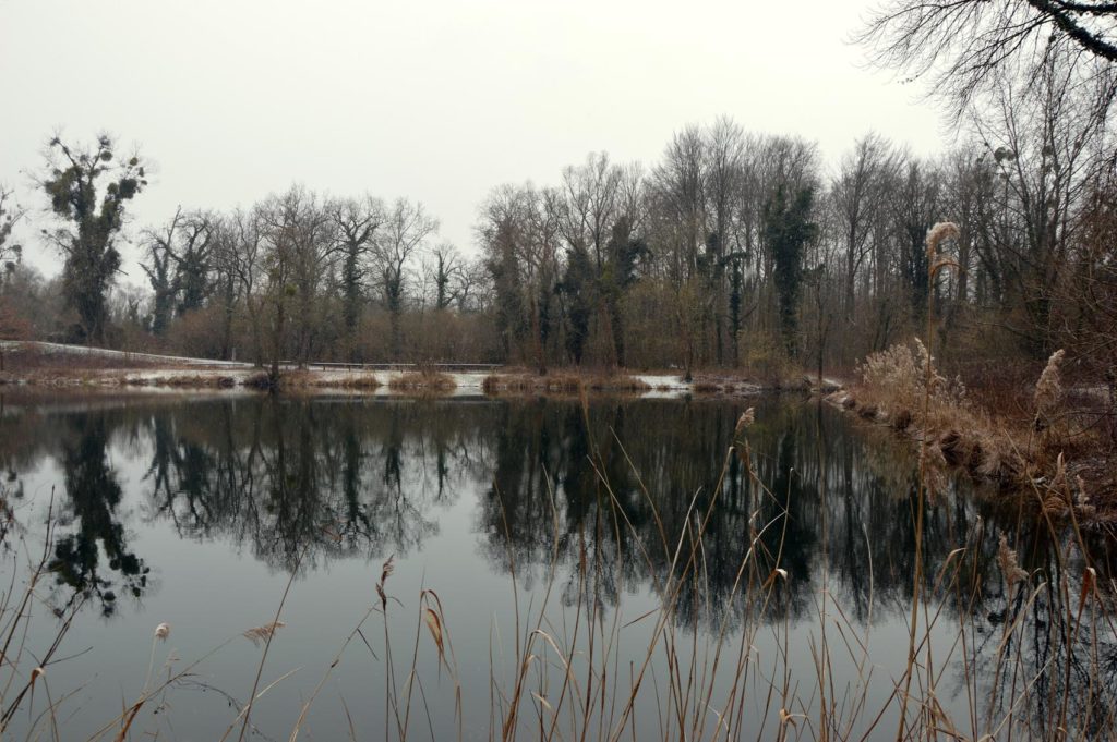 La Réserve Naturelle d'Offendorf - Alsarando