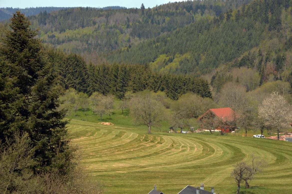 La Chapelle Sixties de Stampoumont ! - Alsarando